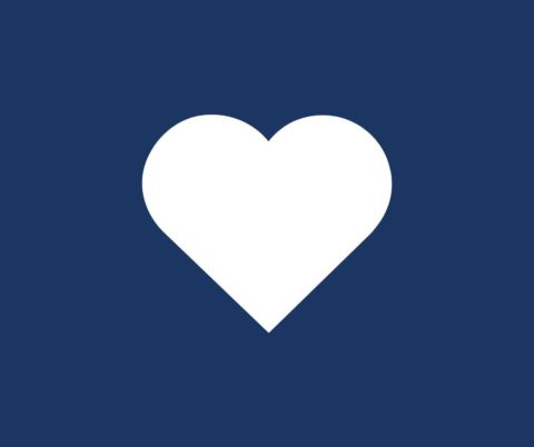 Soporte SAG Local - PYA